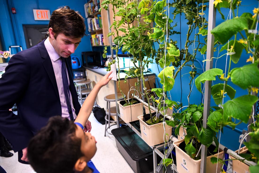 Growing STEM Futures, P.S. 34 Celebrates Their Hydroponic Garden - Bklyner