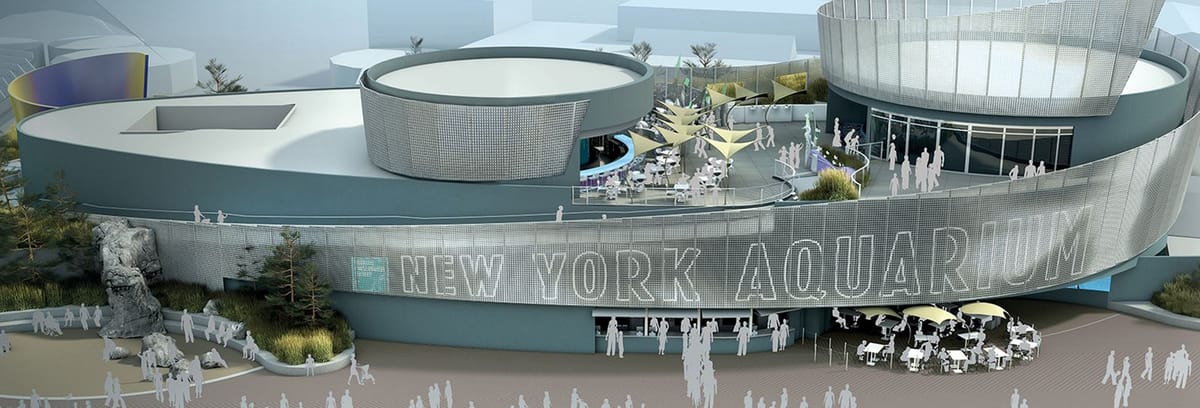 Get Your Name On The Wall Of NY Aquarium's New "Sharks!" Building - Bklyner