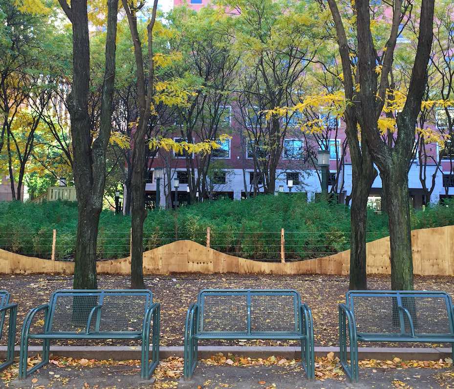4,000 Trees Grow in Brooklyn: Spencer Finch’s Public Art Installation ...