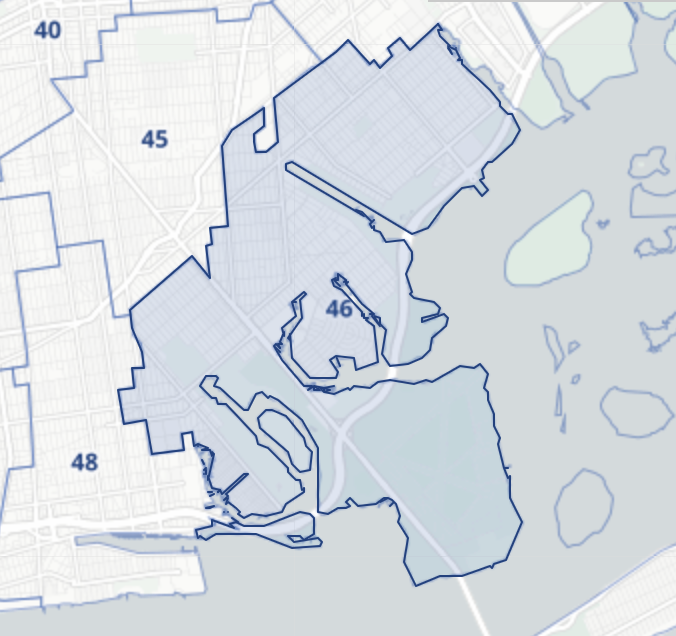 District 46 Council Candidates All Commit to Launching Participatory ...