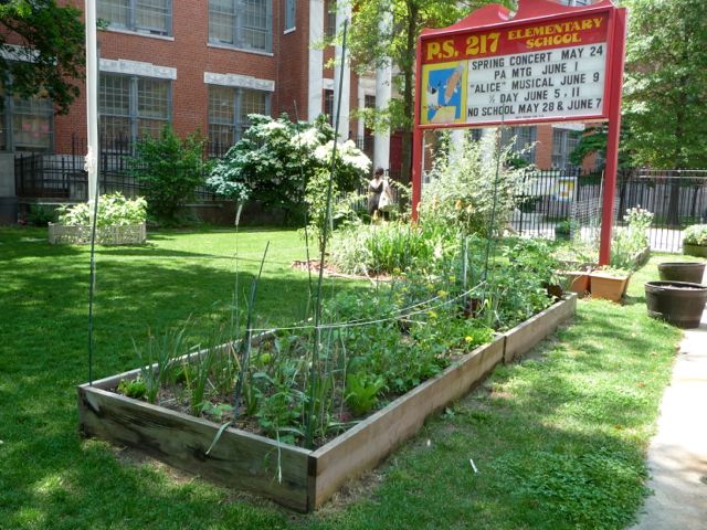 Garden Workshop Tomorrow at PS 217 in Ditmas Park