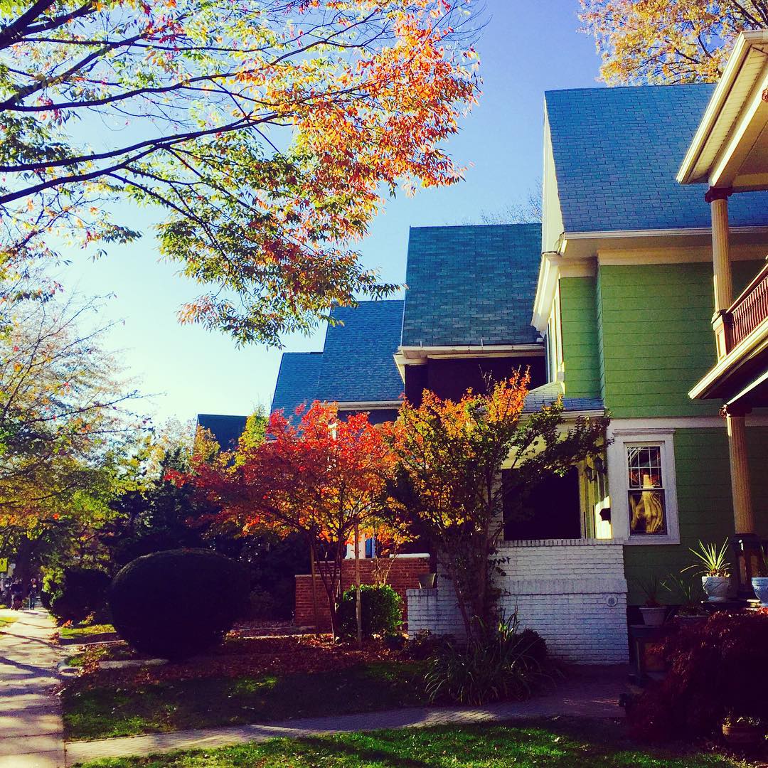 Photo Of The Day: Fall Colors - Bklyner