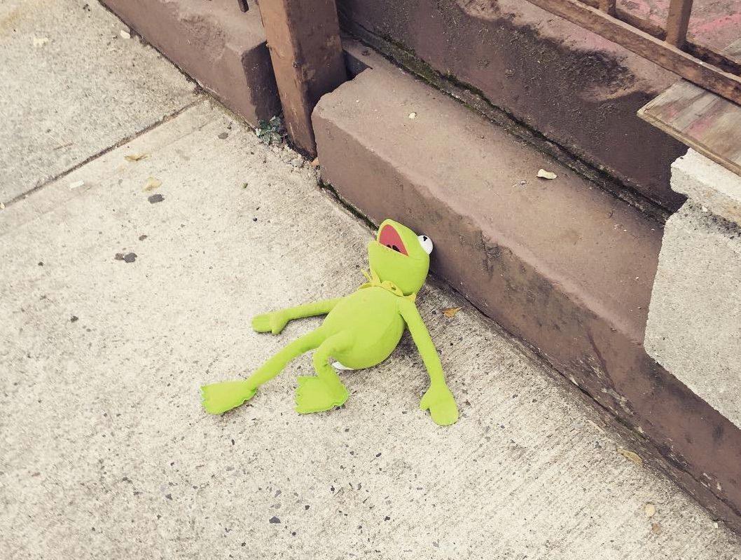Photo Of The Day: Save Kermit! - Bklyner