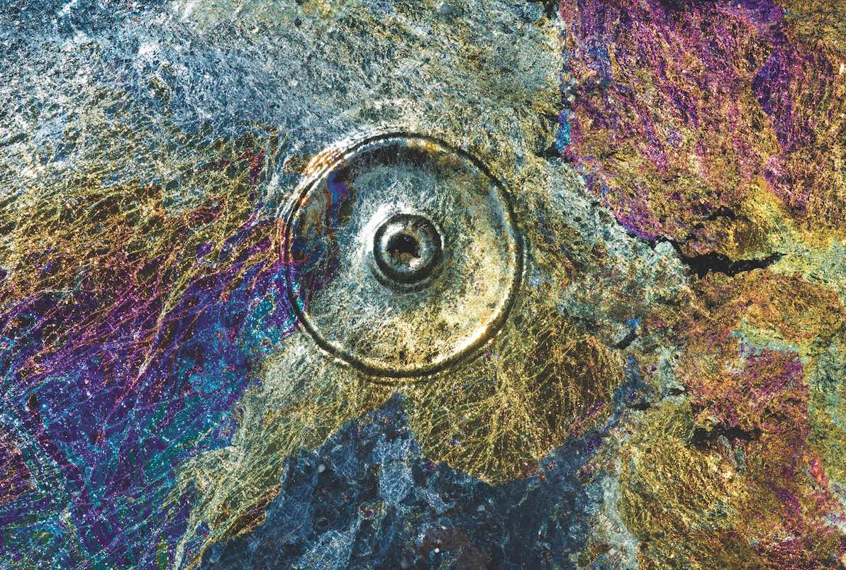 Diving Deep While Skimming The Surface: Photographer Steven Hirsch ...